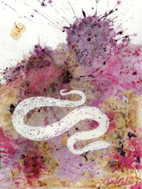 Neddo Gallery Sm 8 North Branch Nature Center