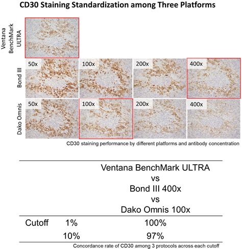 Pathology International Vol 74 No 9