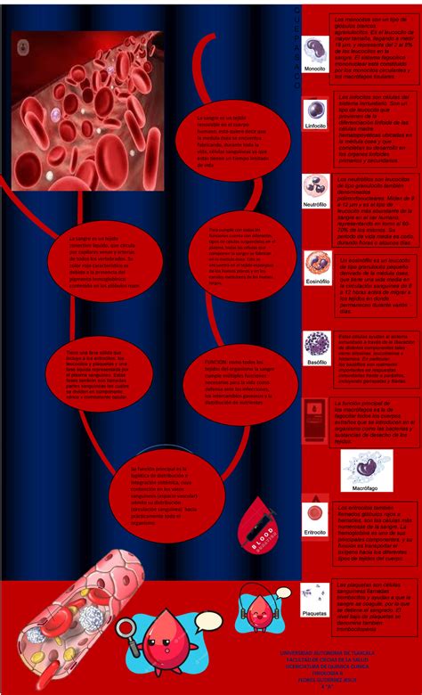 Infografia De La Sangre Q U E P A S A C O Tiene Una Fase Sólida Que