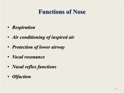 Anatomy Physiology And Signs Symptoms Congenital Anomalies Of Nose And