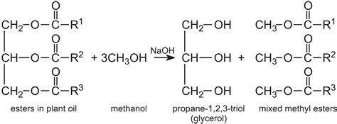 Biodiesel Production Reaction