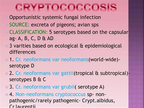 Yeasts Of Medical Importance Candida And Cryptococcus Ppt