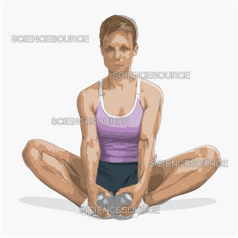 Woman Performing Adductor Stretch Exer Stock Image Science Source