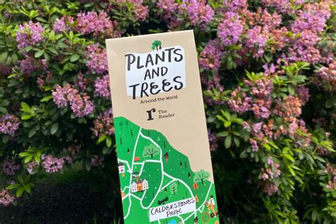 Discover Rare And Exotic Trees In Calderstones Park With A New