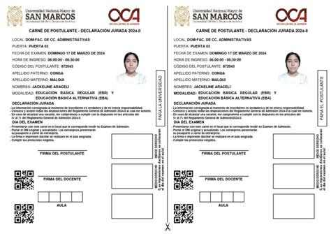 Declaracion Jurada Pdf Documento De Identidad Gobierno Y Personalidad