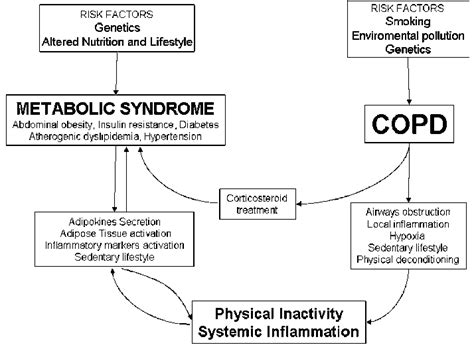 Pathogenetic Pathway Linking Metabolic Syndrome And Copd In The