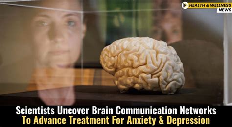 Scientists Uncover Brain Communication Networks To Advance Treatment For Anxiety And Depression