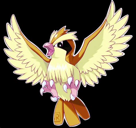 Pidgey Pokemon