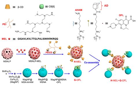 Self Assembly Of Cyclodextrin Coated Nanoparticlesfabrication Of