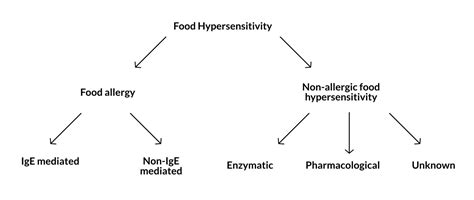 What Is The Difference Between A Food Allergy And Intolerance