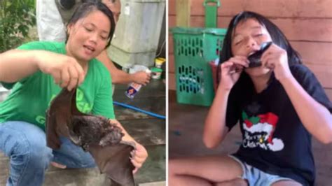 Video Of Woman Cooking Bat Soup Sparks Outrage Online