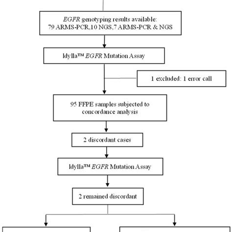 Flowchart Of This Testing Strategy For Chinese Nsclc Samples