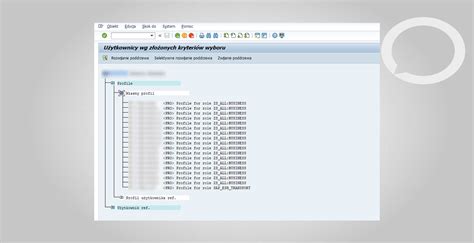 How To Check Authorizations In Sap Hicron