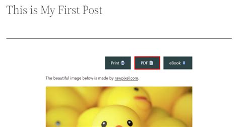 WordPress Export Posts Methods That Work