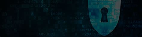 Unbound DNS Blocking Steffin Stanly