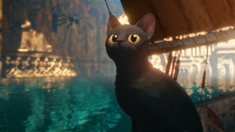 ‘flow Review The Most Breathtaking Cat Video In History Npr