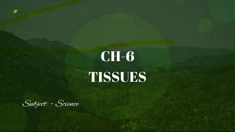 Ch 6 Tissues Class 9 Pptx