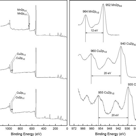 Xps Survey Spectra A And The Cu2p Spectra B Of The Cu Oh 2 Download Scientific Diagram