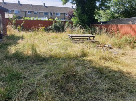 Knee High Grass Cutting Home Facebook