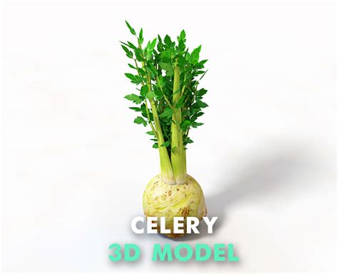 Celery 3d Model Flippednormals