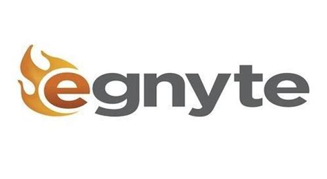 Egnyte Logo Logodix