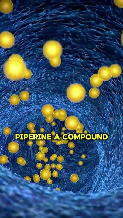 Surprising Healthbenefits Of Blackpepper You Need To Know Healthyfood Healthylifestyle Youtube