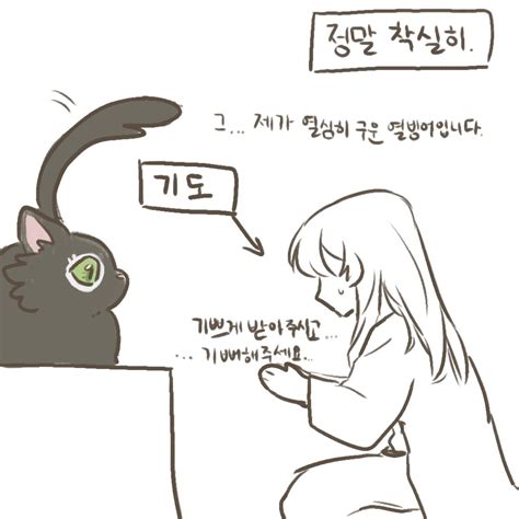 홍삽살더문놀러 On Twitter 소타 사다이진 6 나름의 시도