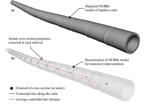digitized nurbs model a and discrete cross section properties b of