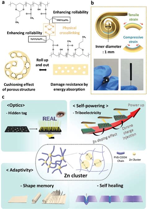 A Chemical Structure Of The Formation Of Pvb‐coo‐zn Through The