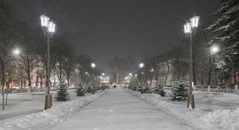 Premium Photo Beautiful Path In A Snowy Park Armavir Russia Krasnodar Region
