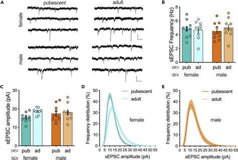 Sex Specific Divergent Maturational Trajectories In The Postnatal Rat