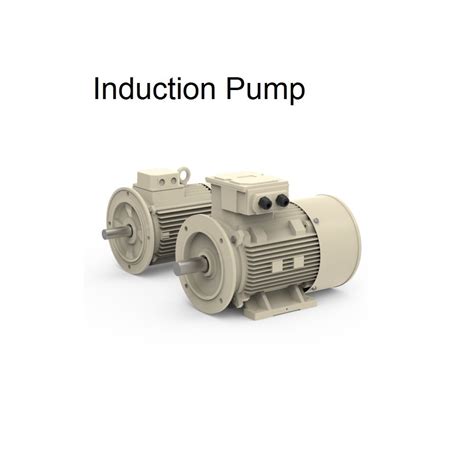 Induction Pump Repairing Services At Best Price In New Delhi Id