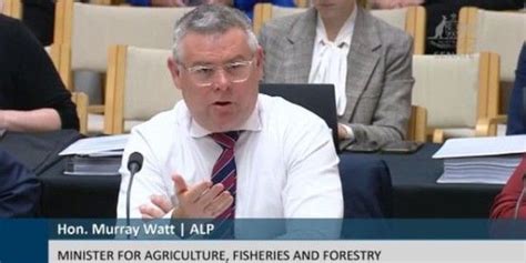 Confirmation Of Ajp Preference Deal Done On Live Sheep Exports Sheep