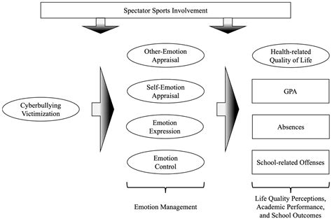 Cracking The Code Of Cyberbullying Effects The Spectator Sports Solution For Emotion Management