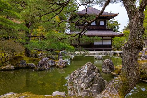 Foto De Stock Gratuita Sobre Al Aire Libre Agua Reflectante Ambiente Meditativo Arboles
