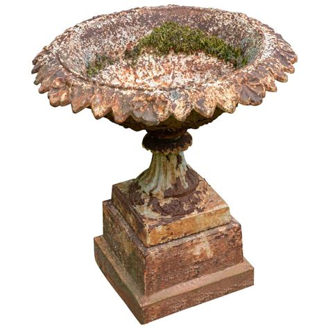 Victorian Planters And Jardinieres 129 For Sale At 1stdibs