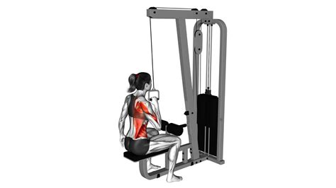 One Arm Cable Lat Pulldown