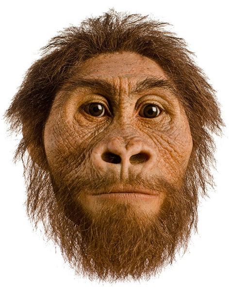 Lucy Ans Instagram Twitter And Facebook On Idcrawl