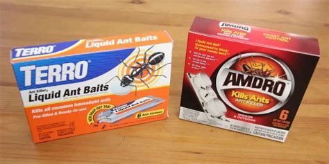 14 Best Ant Traps And Baits Best Killers For Any Ant Species