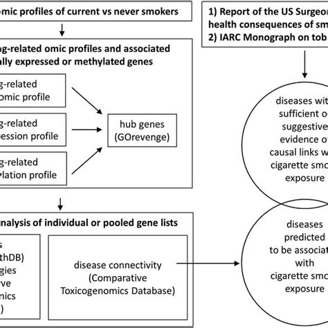 Flow Of Data And Bioinformatics Analyses Further Information On The Flow Of Data And Bioinformatics Analyses Further Information On The