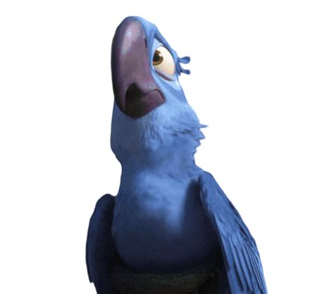 Blu By Draco Awesomeness On Deviantart