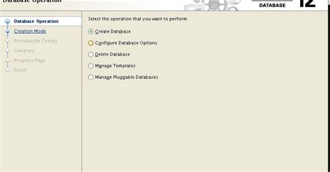 Oracle Database Commands And Practical Examples Database Creation 121010 And Above Using