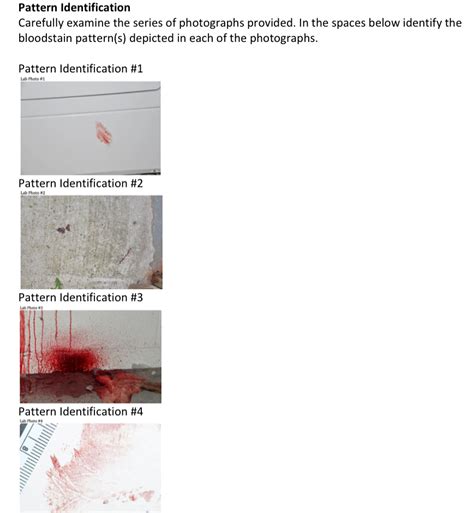 Pattern IdentificationCarefully Examine The Series Of Chegg Com