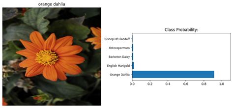 Github Sondosaabedflowers Image Classifier With Deep Learning Tf