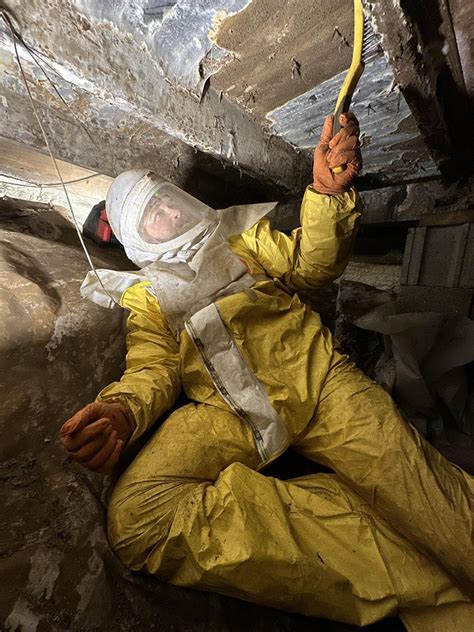 Mold Inspection And Remediation Water Pro Inc