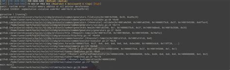 Issue Running Nuclei With Non Root User In Supervisor Config File