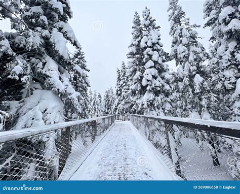 Frozen Bridge Royalty Free Stock Image 84836110