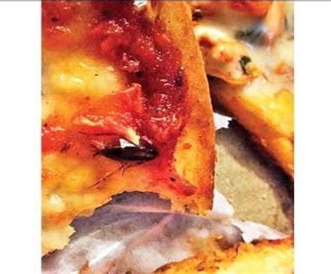 पिज्जा में मिला आधा पका कॉकरोच आउटलेट ने मांगी मांफी