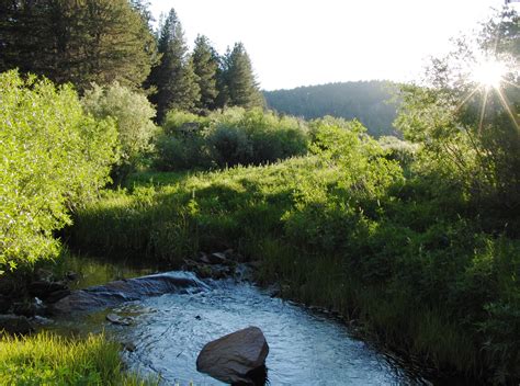 Troy Meadow Campground Johnsondale Ca