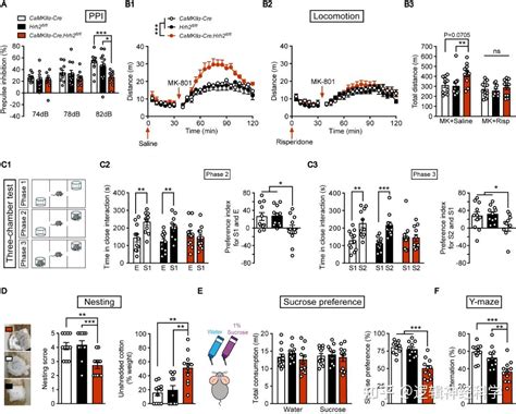 Pnas︱浙江大学胡薇薇陈忠团队发现基于组胺h2受体的精神分裂症潜在药物靶标 知乎